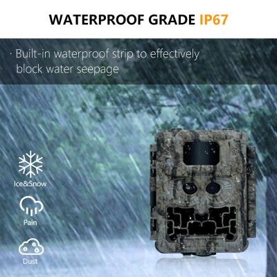 China Jachtcamera KW591 zonder gloed dubbele sensoren 1080P waterdicht IP67 0.4s trigger snelheid tot 512GB opslag Jachtcamera Te koop