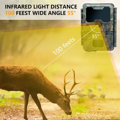 중국 사냥 카메라 KW788 방수 IP65 4K 비디오 30fps 32MP 0.25s 트리거 속도 야생 동물 연구용 512GB까지 저장 판매용