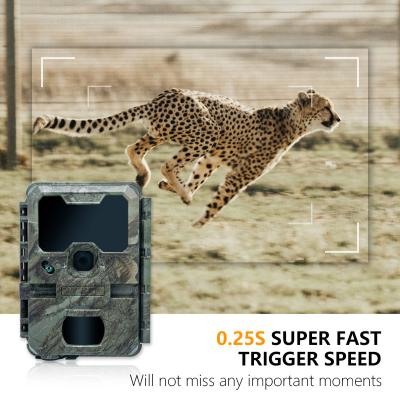 중국 사냥 카메라 KW788 방수 IP65 4K 비디오 30fps 32MP 0.25s 트리거 속도 야생 동물 연구용 512GB까지 저장 판매용