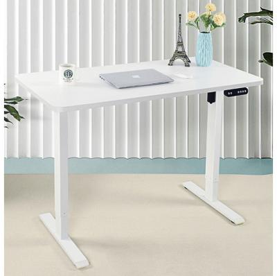 Cina Materiale di telaio di legno bianco Electric Sit Stand Up Desk per il lavoro regolabile in altezza in vendita