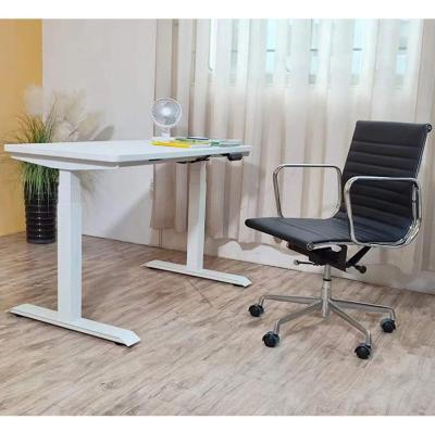 Cina Altezza regolabile a doppio motore Stand Up Desk Design moderno per Home Office Gaming Setup in vendita