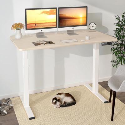 Cina Tavolo di studio regolabile in altezza elettrica per la biblioteca di design per l'home office in vendita