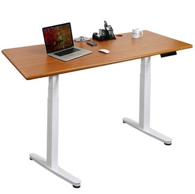 Cina 25 mm/s Regolabile Petite Ergonomica Francese Due Motore Standing Desk per Bambini Fornitori in vendita