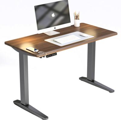 Cina 25 mm/s Dual Motor Electric Sit Standing Tavolo di studio per ufficio CEO di lusso moderno in vendita
