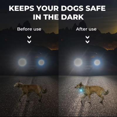 Puppy LED Flashing Pet Collar Necklace Buckle Night Flashing Safety Lights For