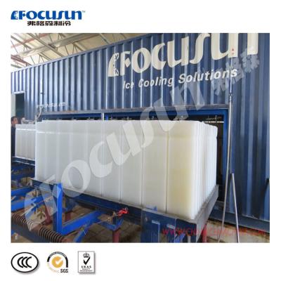 Cina Compressore Bitzer 12000 KG Frigorifero diretto 40 HQ Containerized Block Ice Machine in vendita