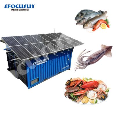 Cina 380v/3p/50hz Voltaggio 20FT Contenitore mobile Energia solare Sala frigorifera per prodotti in vendita