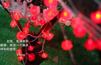 Cina Luce all'aperto rossa impermeabile della corda del LED, luci della corda di festa di lunga vita in vendita