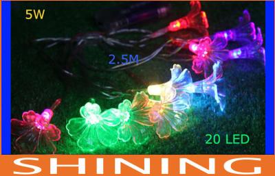 Cina 2.5m elettrici hanno condotto la luce all'aperto della corda della batteria LED con 10bulb/20bulb in vendita