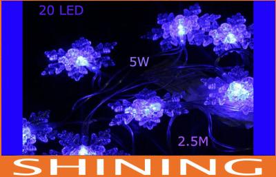 Cina La luminosità 20bulb ha condotto la luce 4.5v 2.5m della corda della batteria per illuminazione domestica in vendita