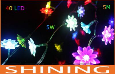Cina Fiorisca luminosità principale 40bulb della luce della batteria di 5m l'alta per illuminazione all'aperto in vendita