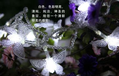 Cina Lampadine elettriche 10m 80 del LED della luce all'aperto portatile della corda con colore variopinto in vendita