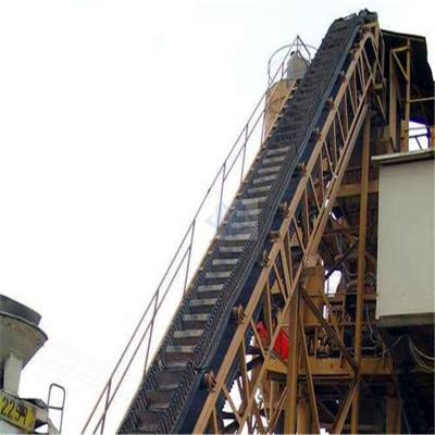Cina Alto sistema di trasportatore su misura del secchio di angoli della pendenza per il maneggio del materiale alla rinfusa in vendita