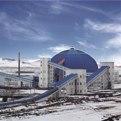 Cina Recinto per il bestiame circolare che impila e che riprende sistema per la centrale elettrica infornata carbone in vendita