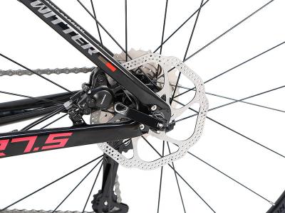 Chine La fibre Mtb de carbone vont à vélo l'équitation de 24S 36speed XC pour les hommes à vendre