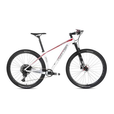 중국 Twitter Bike STORM 2.0 탄소 섬유 산악 자전거 29er 사이클링 판매용