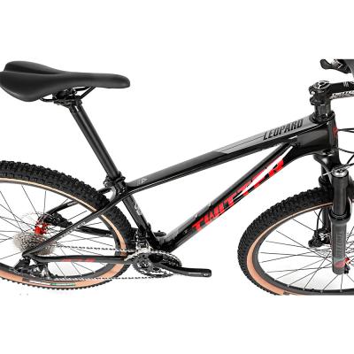중국 11.9kg 탄소 섬유 산악 자전거 Twitter Leopard Pro 29er 판매용