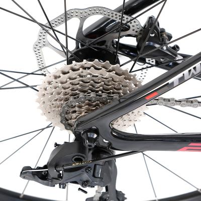 중국 11.9kg 탄소 섬유 산악 자전거 Twitter Leopard Pro 29er 판매용
