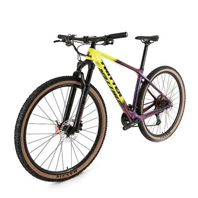 Κίνα 27,5 ίνα MTB άνθρακα ίντσας T900 ολογραφική με το πλαίσιο ώθησης 148mm προς πώληση