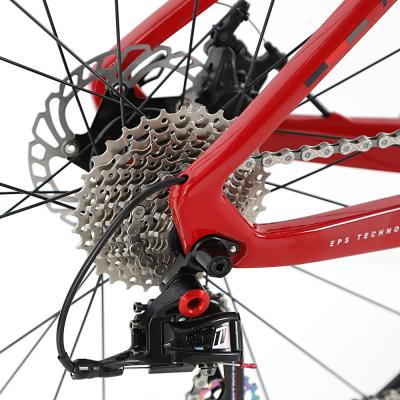 중국 축 원판 브레이크 자갈 자전거를 통한 트위터 R10 탄소 섬유 주행용 자전거 12x142mm 판매용