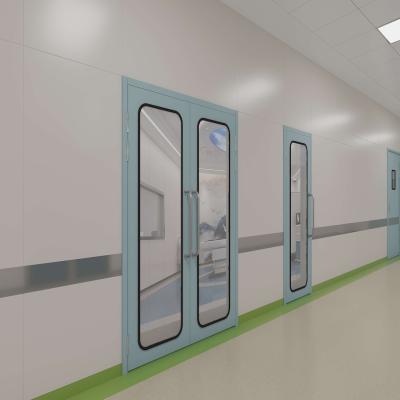 China Custom Swing Glass Doors with 8mm Tempered Glass and Airtight Sealing for Cleanrooms and Hospitals for sale
