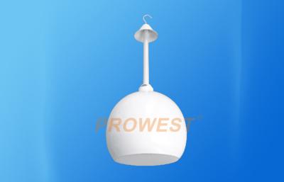 Cina Altoparlante commerciale a 5 pollici 3W - 10W, 70V/100V del pendente in vendita