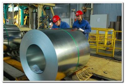 China Steel Prime Regular Spangle Galvanized Steel Coils/Galvanised GI Steel Rolls en venta