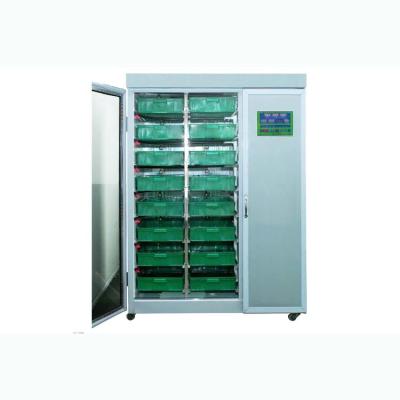 Cina L'OEM 50HZ 60HZ Bean Sprouter Machine automatico 500kg/Day idroponico coltiva il Governo in vendita
