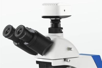 China Integrated Dark Field Polarizing Lab Biological Microscope 4 Position for sale