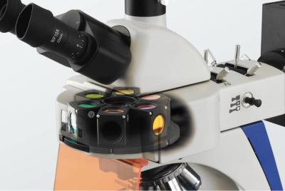China Integrated Dark Field Polarizing Lab Biological Microscope 4 Position for sale