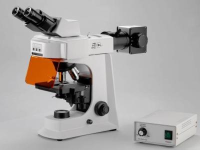 China White Trinocular Lab Biological Microscope With Mechanical Stage for sale
