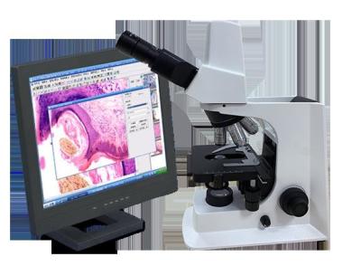 China White Trinocular Lab Biological Microscope With Mechanical Stage for sale