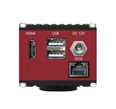 China HDMI 60FPS Microscope Digital Camera With Gigabit Network Interface for sale