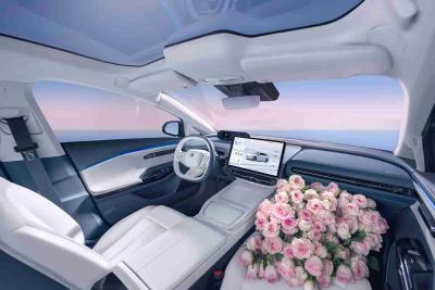 Chine 2023 Haobo GT Facelift 710 Electric Vehicle Rear Drive Supercharged Ternary Lithium Version à vendre
