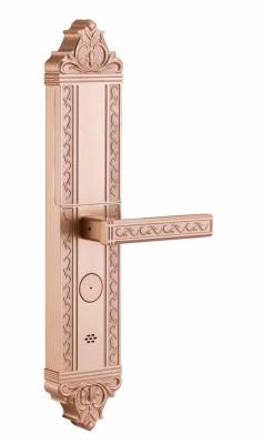 China Zinc Alloy Fingerprint Access Control Door Lock 500 DPI 100 Password for sale