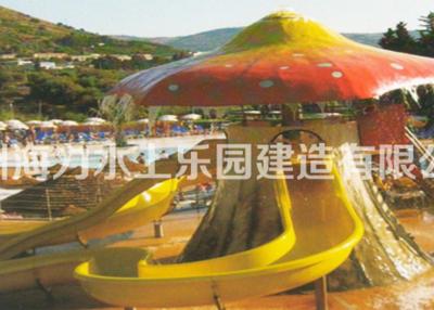 Cina Acquascivolo all'aperto della vetroresina di stile del fungo/acquascivolo dei bambini in vendita