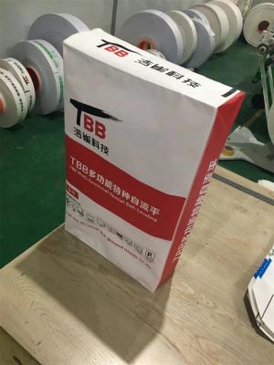 Chine Les sacs de ciment tissés par pp de 25KG 40KG 50KG bloquent les sacs inférieurs de valve à vendre