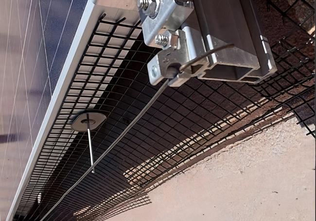 Solar panel bird mesh installation example