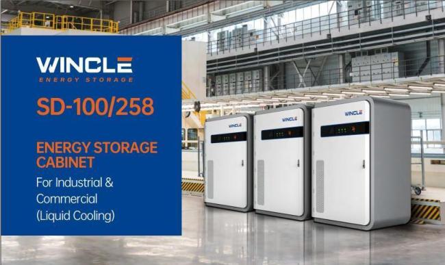High Integrated 100kw, 258kwh Battery Cabinet with LFP Battery Case for C&I Energy Storage