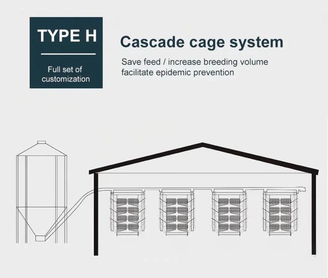 Poultry cage interior details