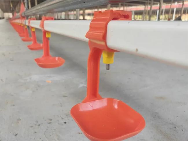 Water pipe and nipple drinker installation