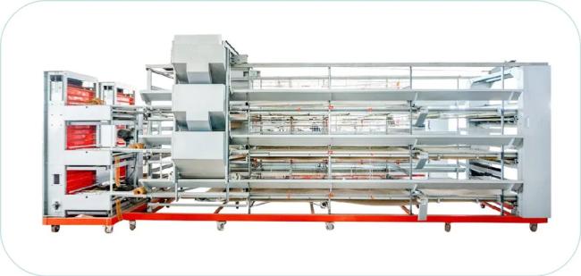 H Type Layer Cage System overview