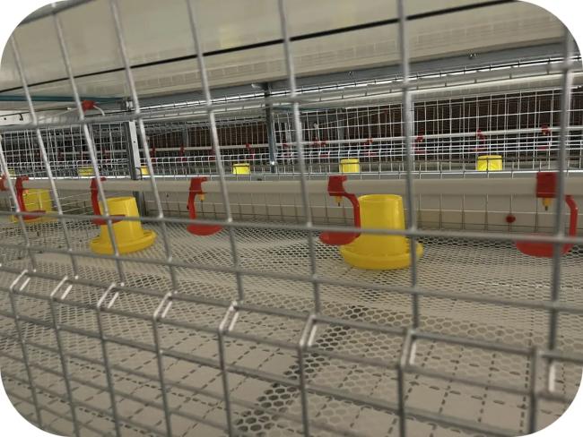 Cage mesh close-up