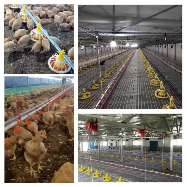 High-quality materials used in feeding equipment