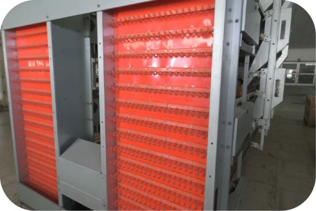 Automatic Egg Collection System
