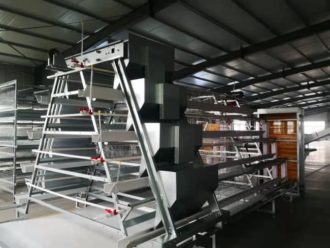A Type Layer Cage System interior