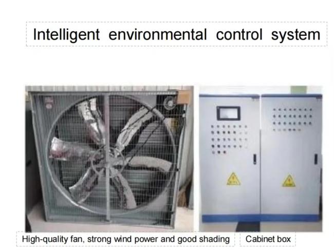 System components and connections