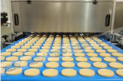 China Nahrungsmittelfabrik-Plätzchen-Galvaniseur-Maschine PLC-Touch Screen Jenny Cookie Maker zu verkaufen