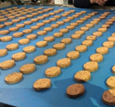 中国 機械に厚さ1.4 mmのベルトの作るカスタマイズ可能な皿のタイプ スナック 販売のため