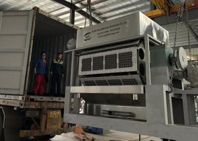 Китай Полноавтоматическая клеть яйца бумаги пульпы делая машину 126kw продается